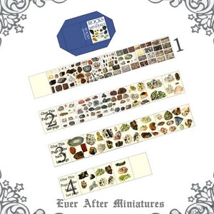 ROCK & MINERAL Dollhouse Miniature Book – 1:12 Miniature Rock Science ...