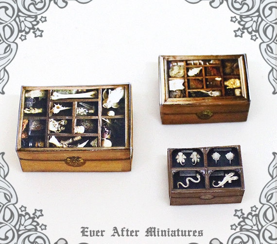 3 Cabinet of Curiosities Dollhouse Miniature Display Boxes Set – 1:12 ...