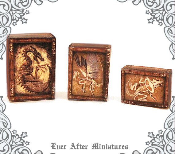 3 FANTASY BEASTS Fossils Miniature Display Case Set –1:12 Dragon ...