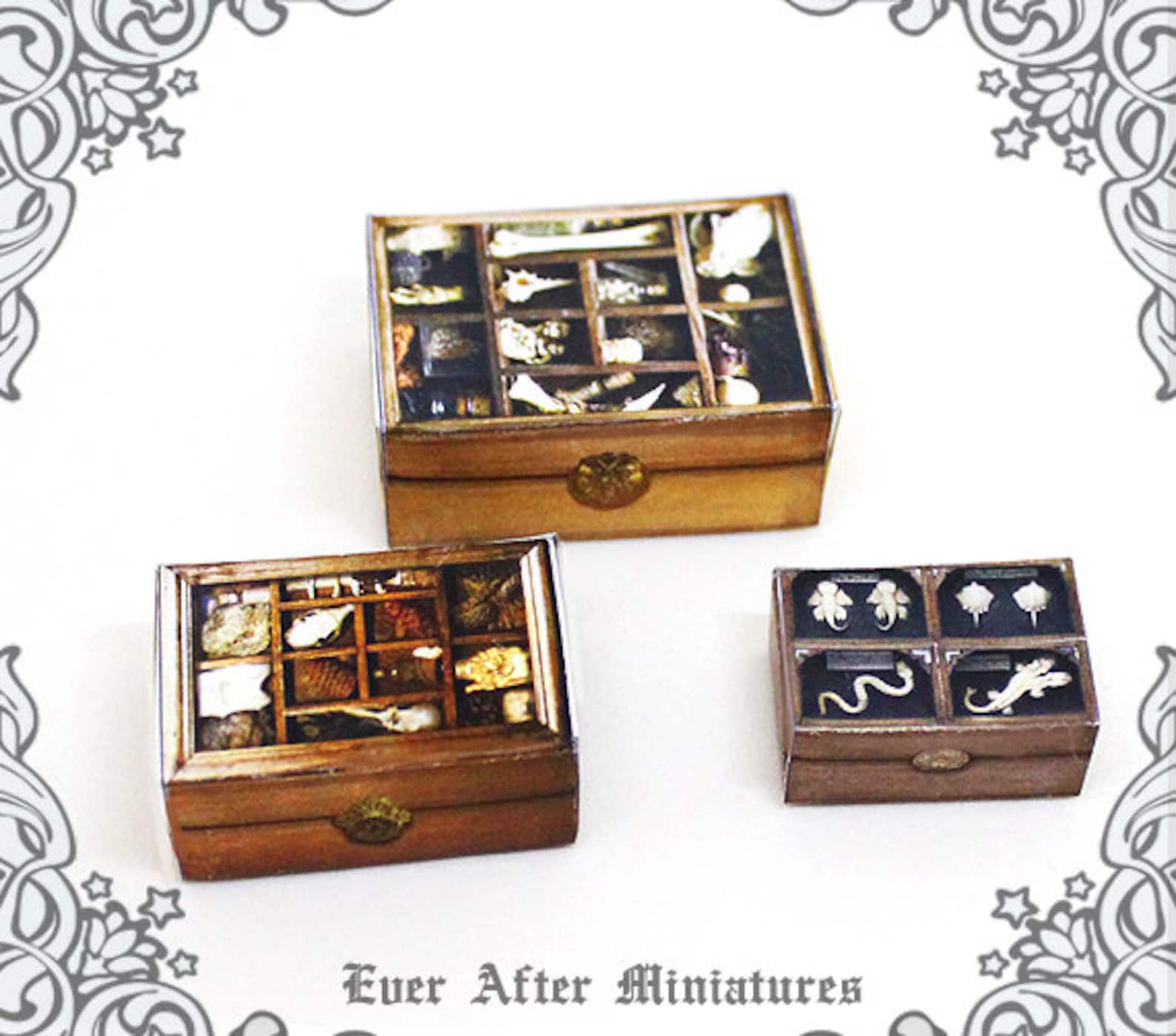 3 Cabinet of Curiosities Dollhouse Miniature Display Boxes Set – 1:12 ...