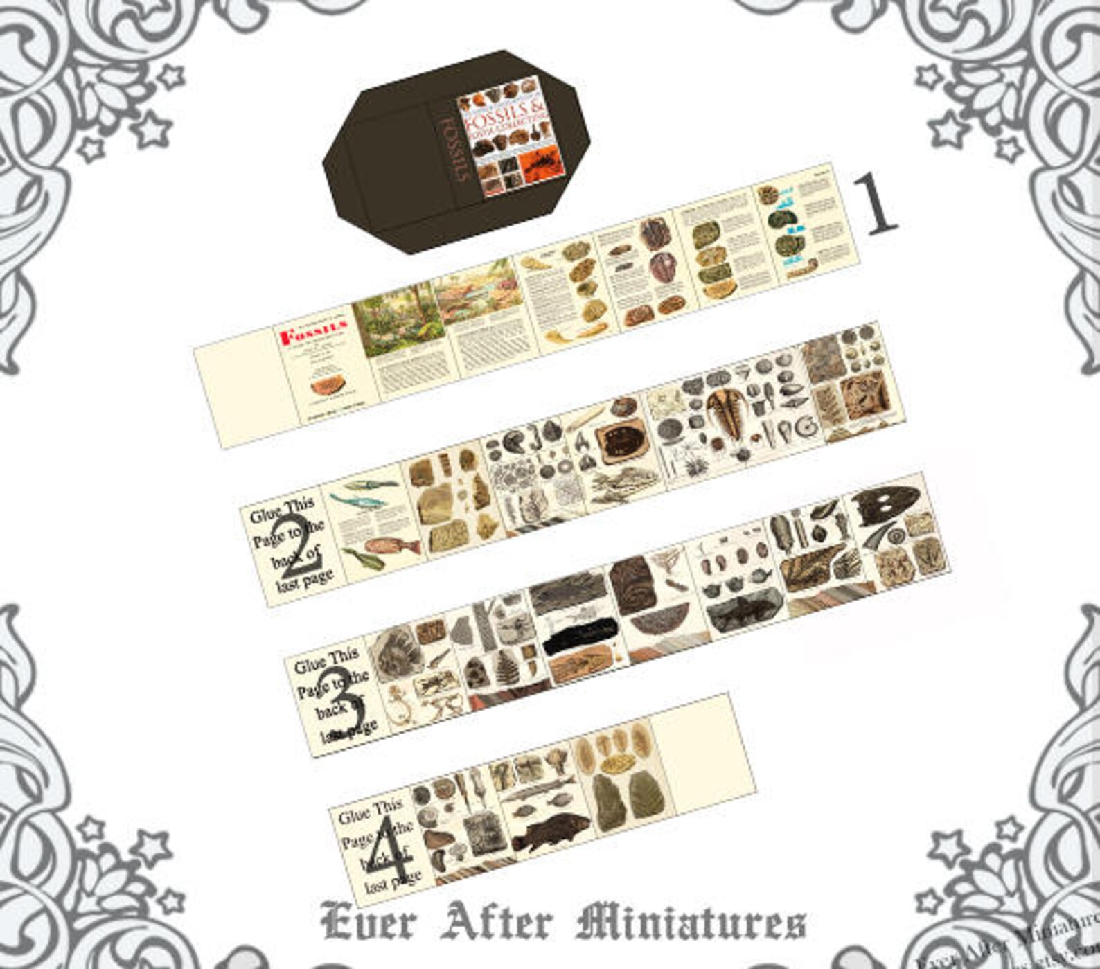 FOSSILS Dollhouse Miniature Book 1:12 Science Miniature Book | Etsy