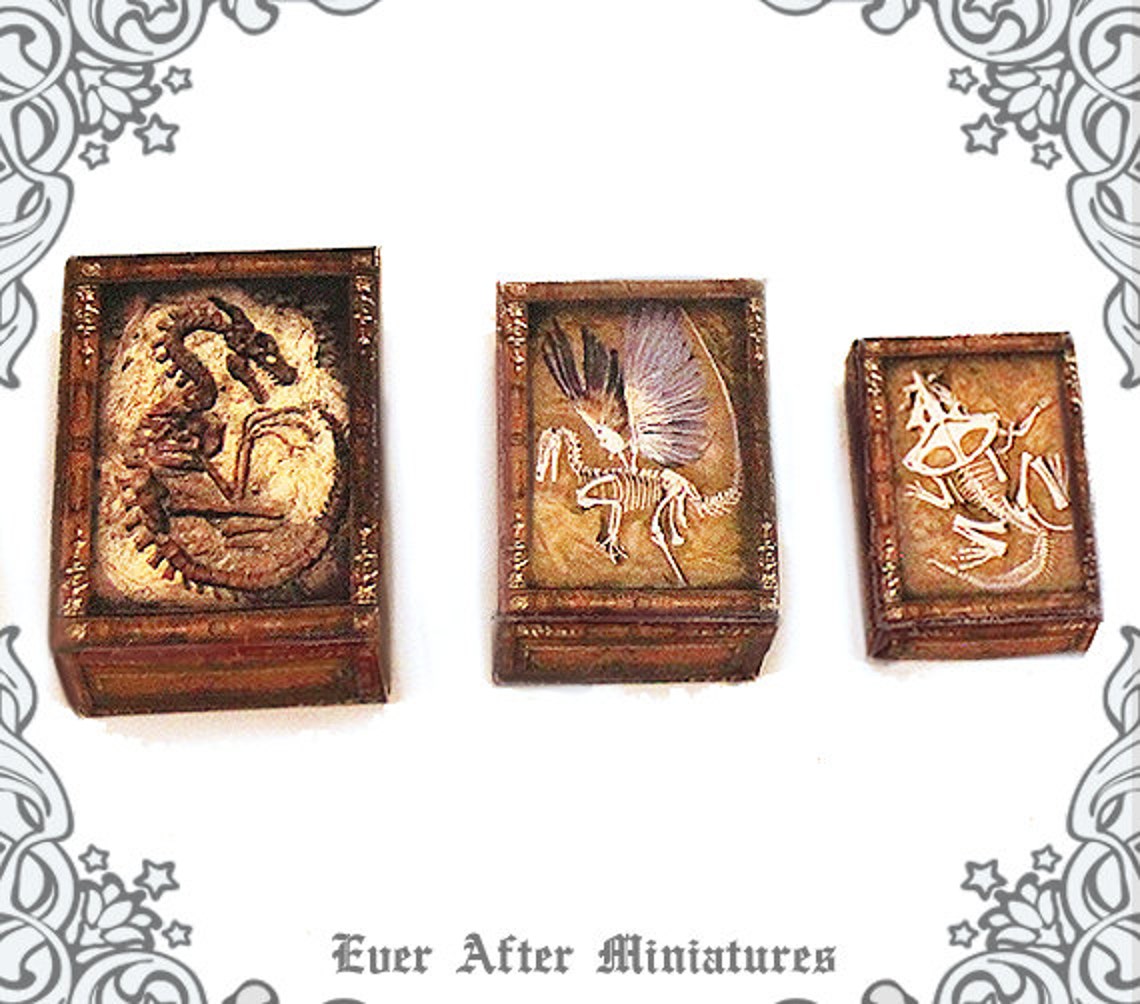 3 FANTASY BEASTS Fossils Miniature Display Case Set –1:12 Dragon ...