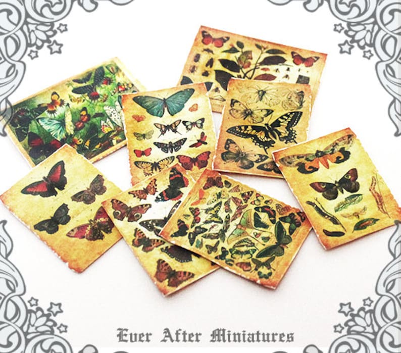 BUTTERFLY Dollhouse Miniature Scroll Set 1:12 Vintage - Etsy
