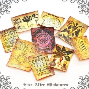 9 WIZARD MAGIC Miniature Scroll Set #3 – 1:12 Diy Dollhouse Miniature ...