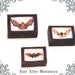 3 BAT Miniature Boxes Display Cases Set 1:12 Dollhouse Vampire Bat ...