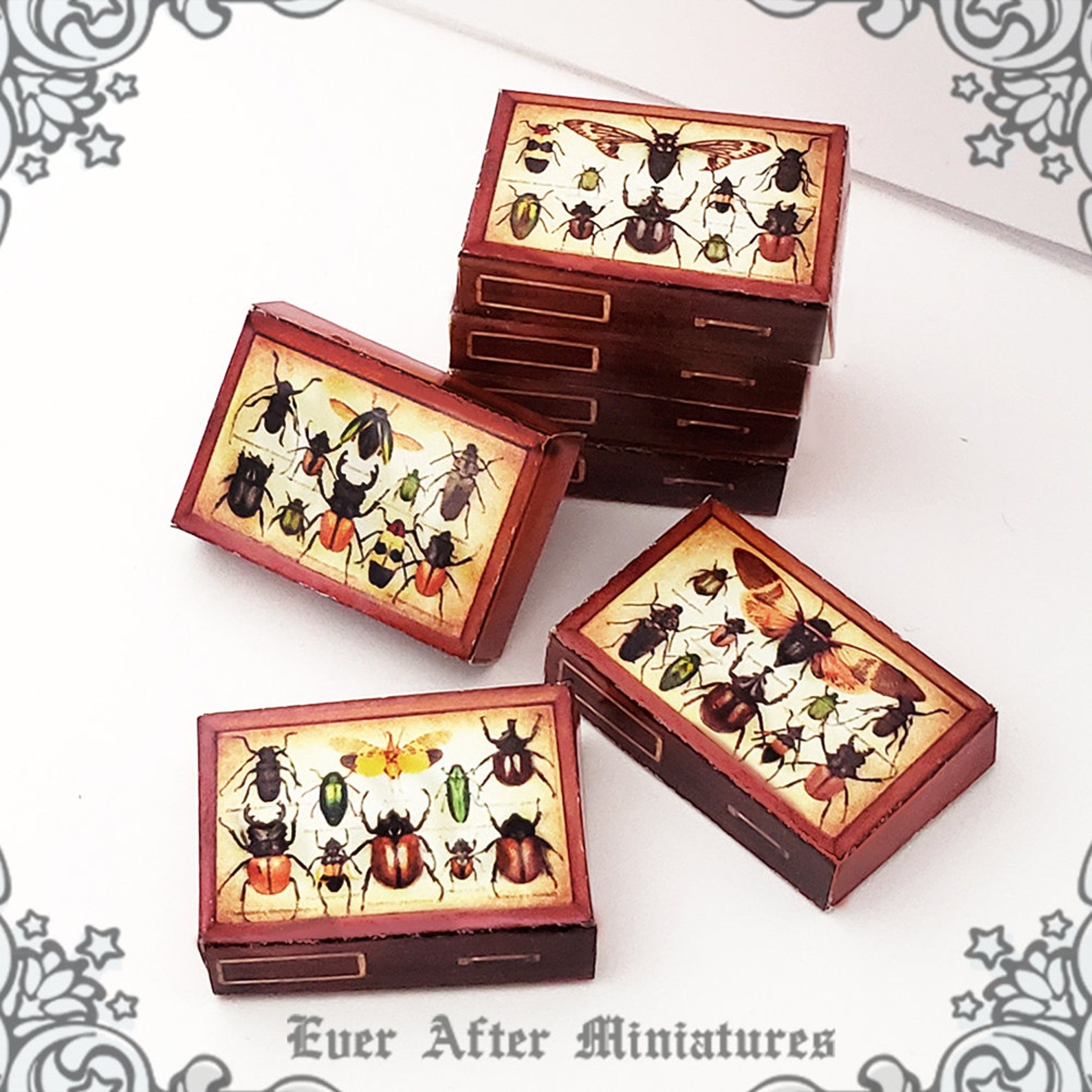 4 Dollhouse Miniature Insect Box 1:12 Shadow Box Dollhouse Science ...