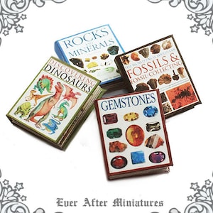 ROCK & MINERAL Dollhouse Miniature Book – 1:12 Miniature Rock Science ...
