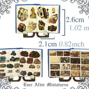 ROCK & MINERAL Dollhouse Miniature Book – 1:12 Miniature Rock Science ...