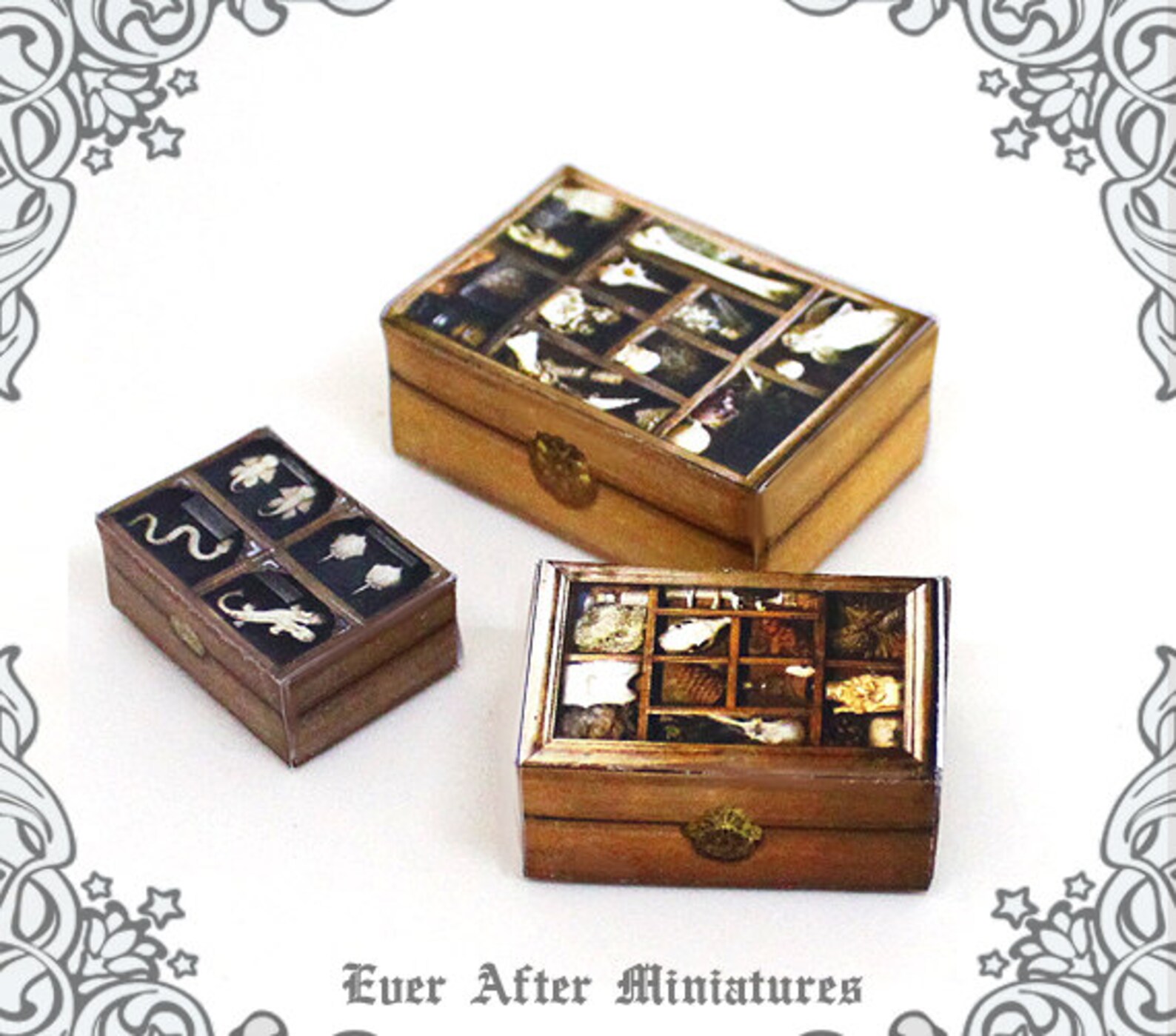 3 Cabinet of Curiosities Dollhouse Miniature Display Boxes Set – 1:12 ...