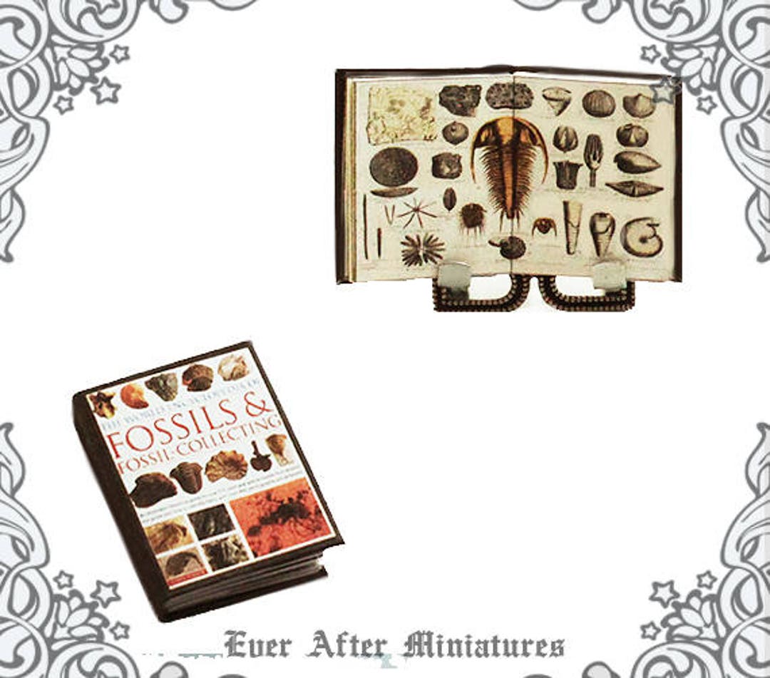 FOSSILS Dollhouse Miniature Book – 1:12 Science Miniature Book on ...