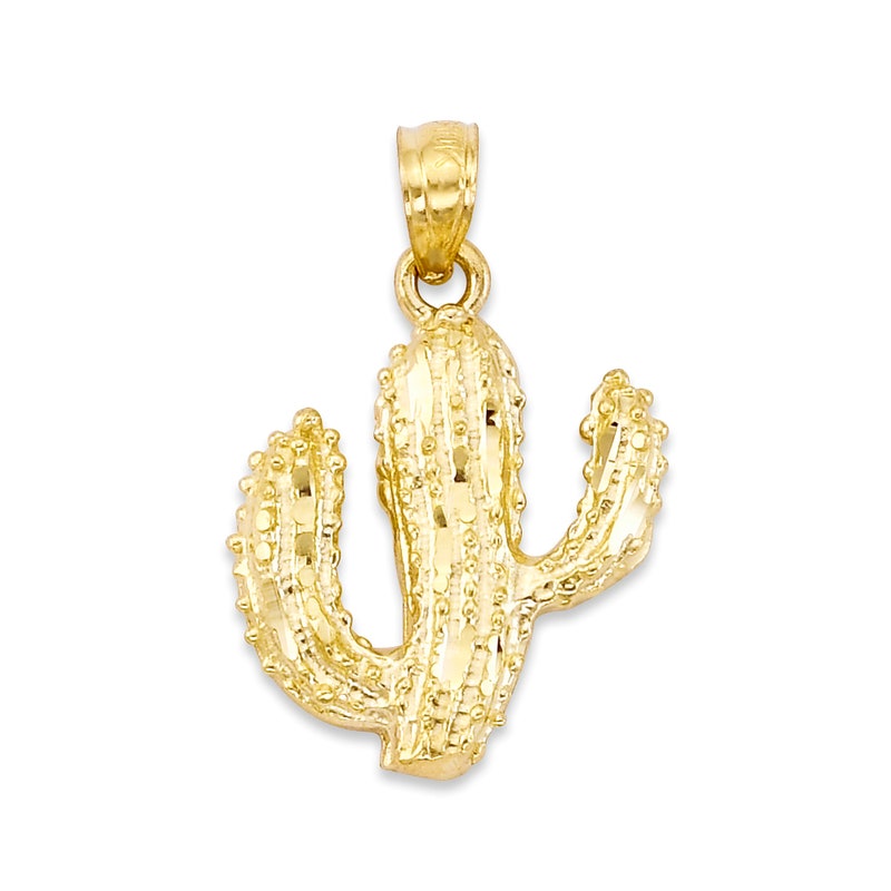 Cactus Jewelry - Etsy