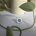 Enamel Mug Pin - Botanical Pin Collection - Plant Pin - Lapel Pin - Pin ...