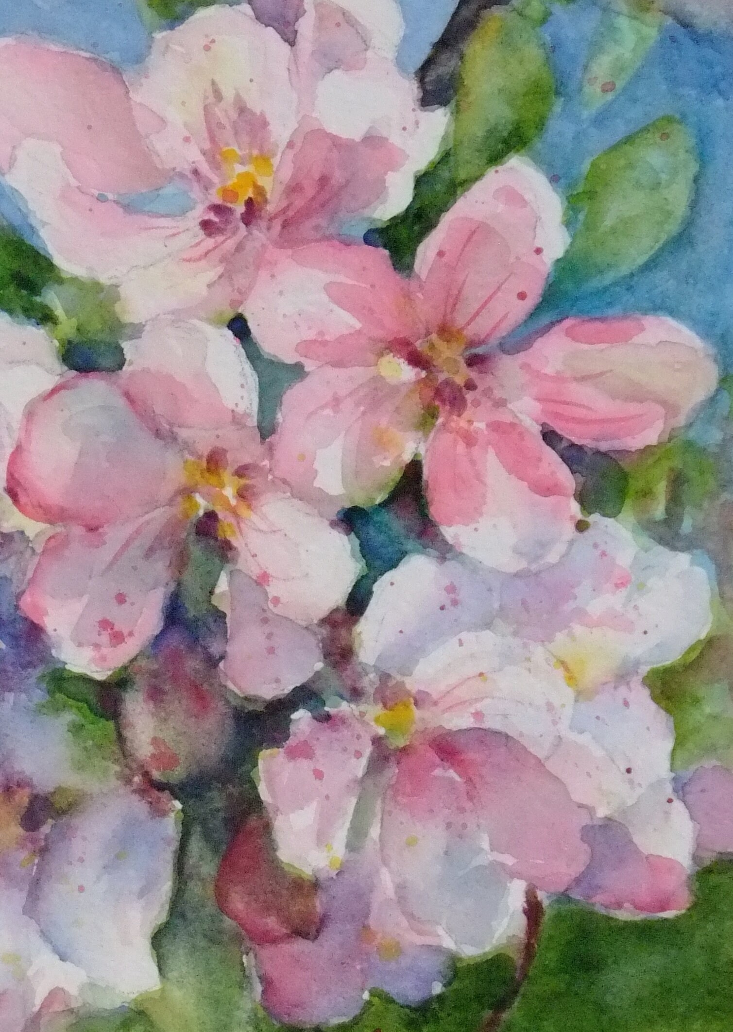 Spring Apple Blossoms, 5x7 Original Watercolor - Etsy