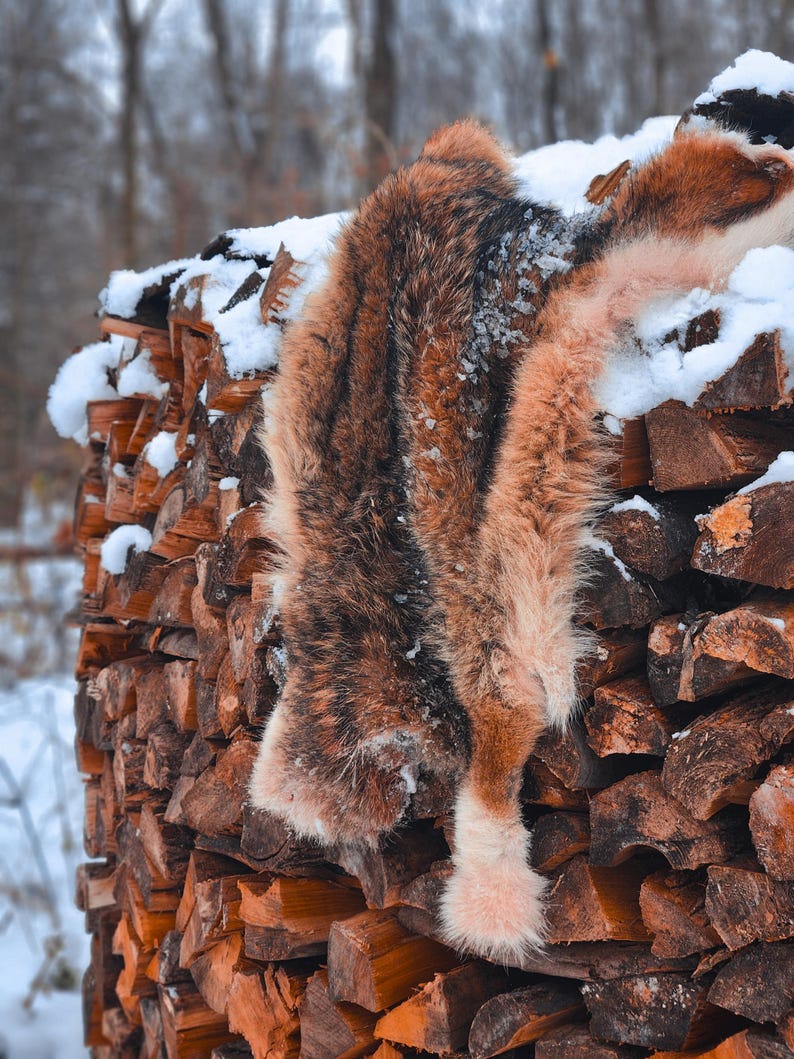 Coyote Pelt Digital Download Art Print Photography - Etsy