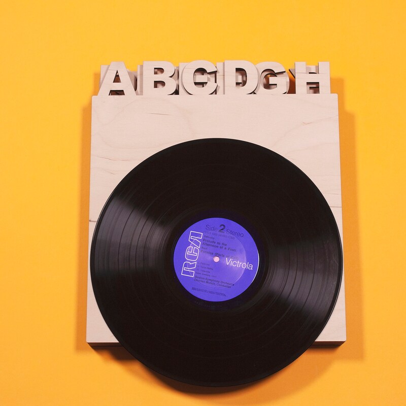 Record Dividers - Etsy