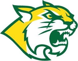 WHS, Wildcats, Walker High, Louisiana Svg, Png, Dxf, Eps, Cut Files for ...