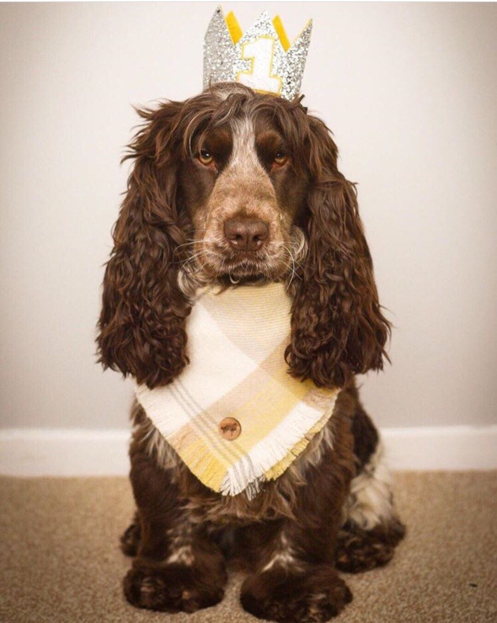 Mustard Birthday Crown Half Birthday Crown Baby 1st | Etsy UK