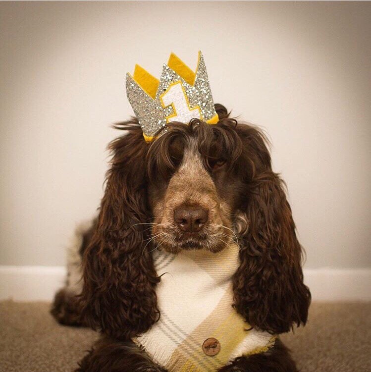 Mustard Birthday Crown Half Birthday Crown Baby 1st | Etsy UK