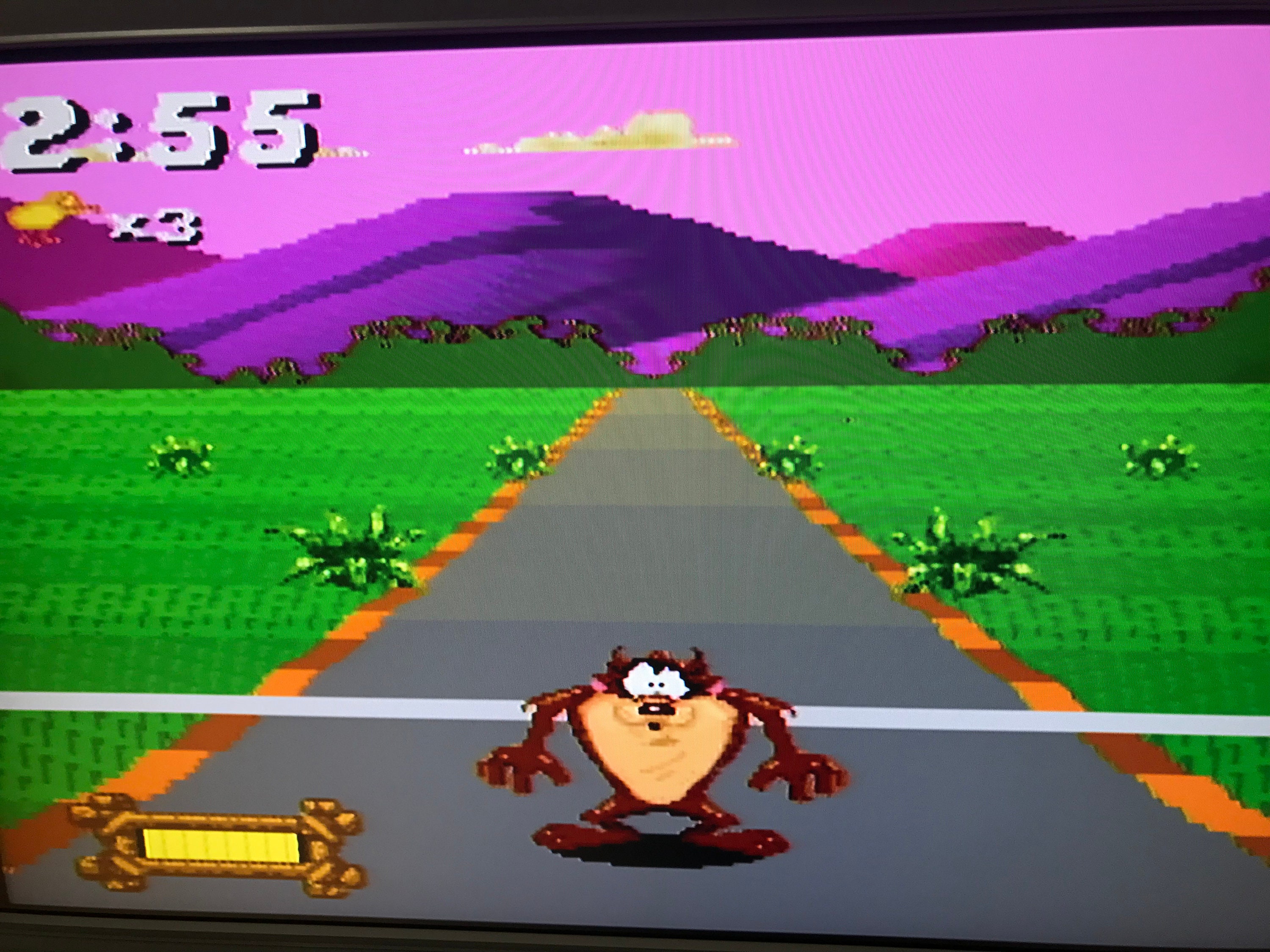 Taz-mania Super Nintendo Entertainment System SNES - Etsy