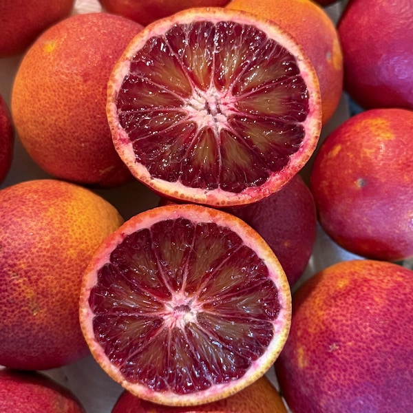 Pink and Orange - Etsy