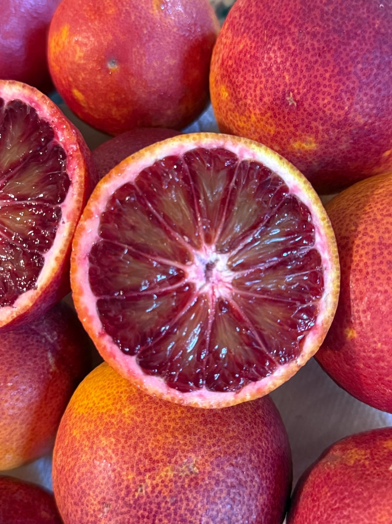 Certified Organic Fresh Blood Oranges Picked Fresh California Grown ...