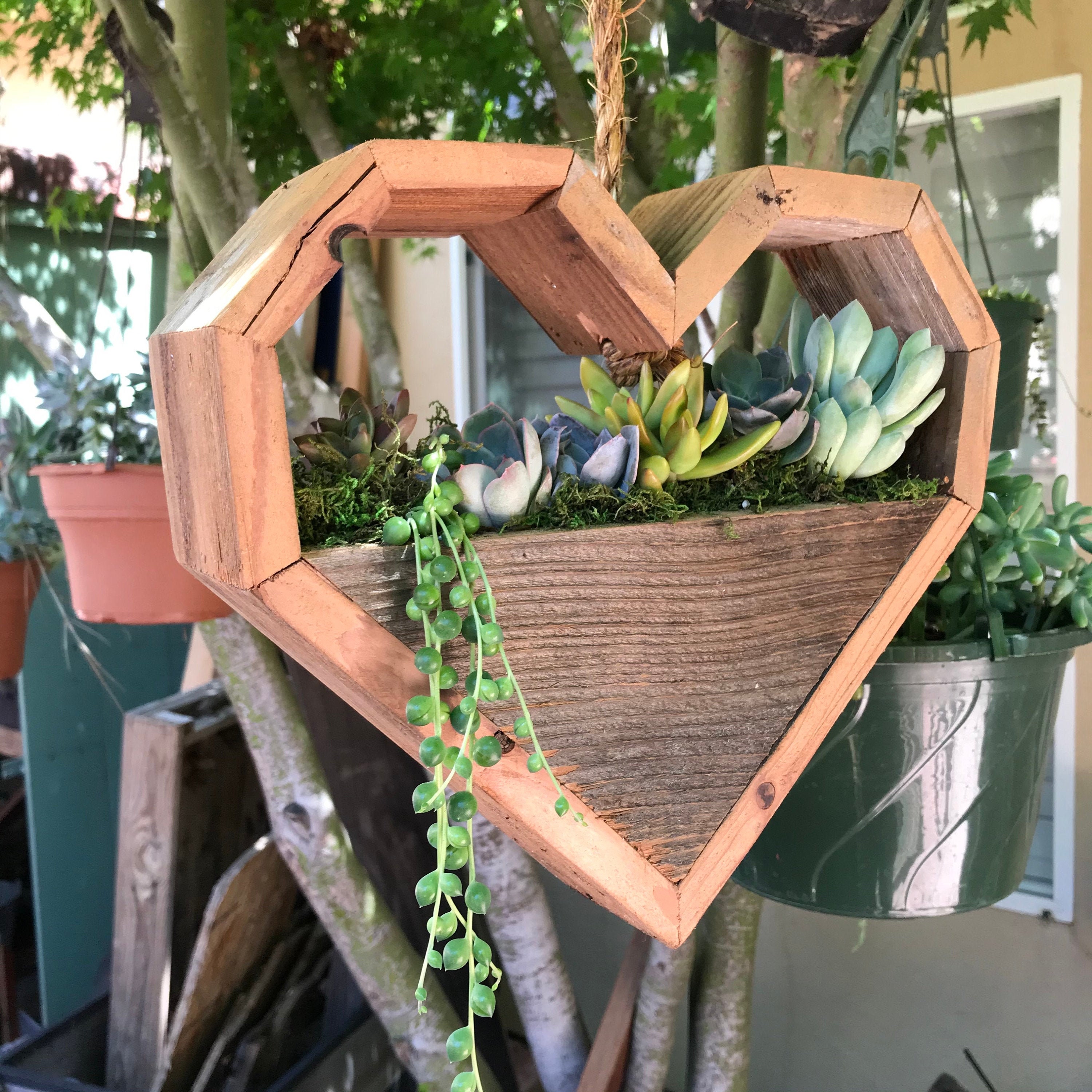 Sympathy Hanging Succulent Arrangement Heart Shaped Vertical | Etsy