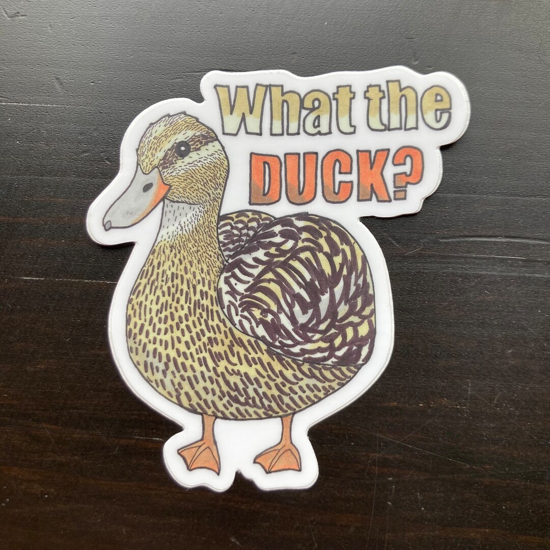 Mallard Duck Sticker, 2.74" X 3" Vinyl, Original Art - Etsy
