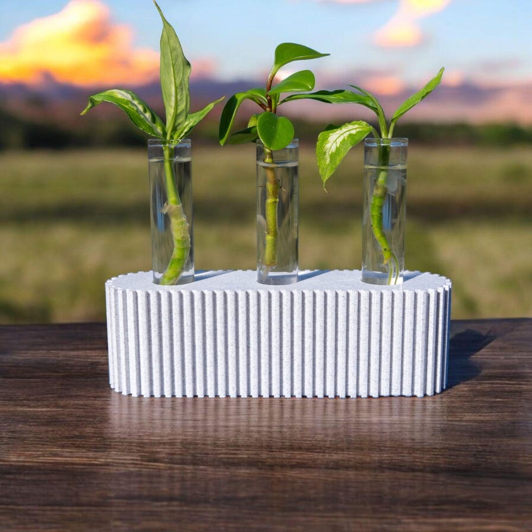 Propagation Station for Plant Cuttings Test Tube Holder for Indoor ...