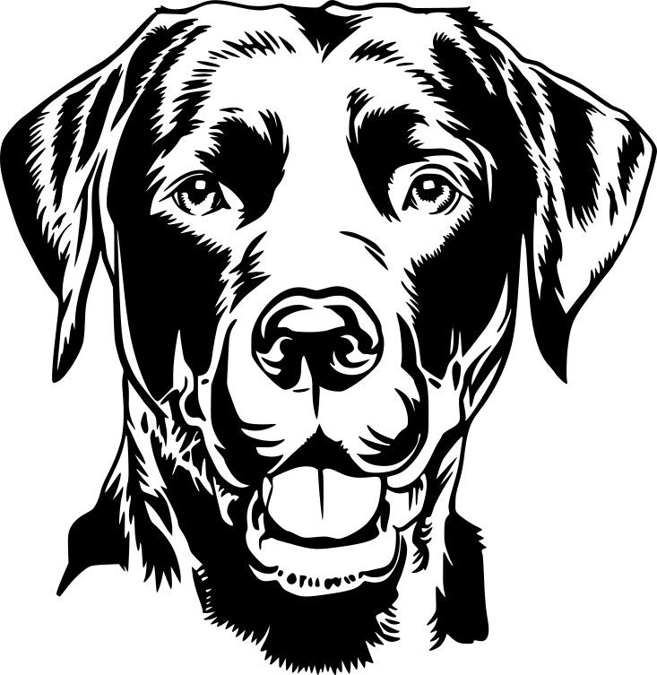 Lab Dog Svg dxf clipart cut file Png | Etsy