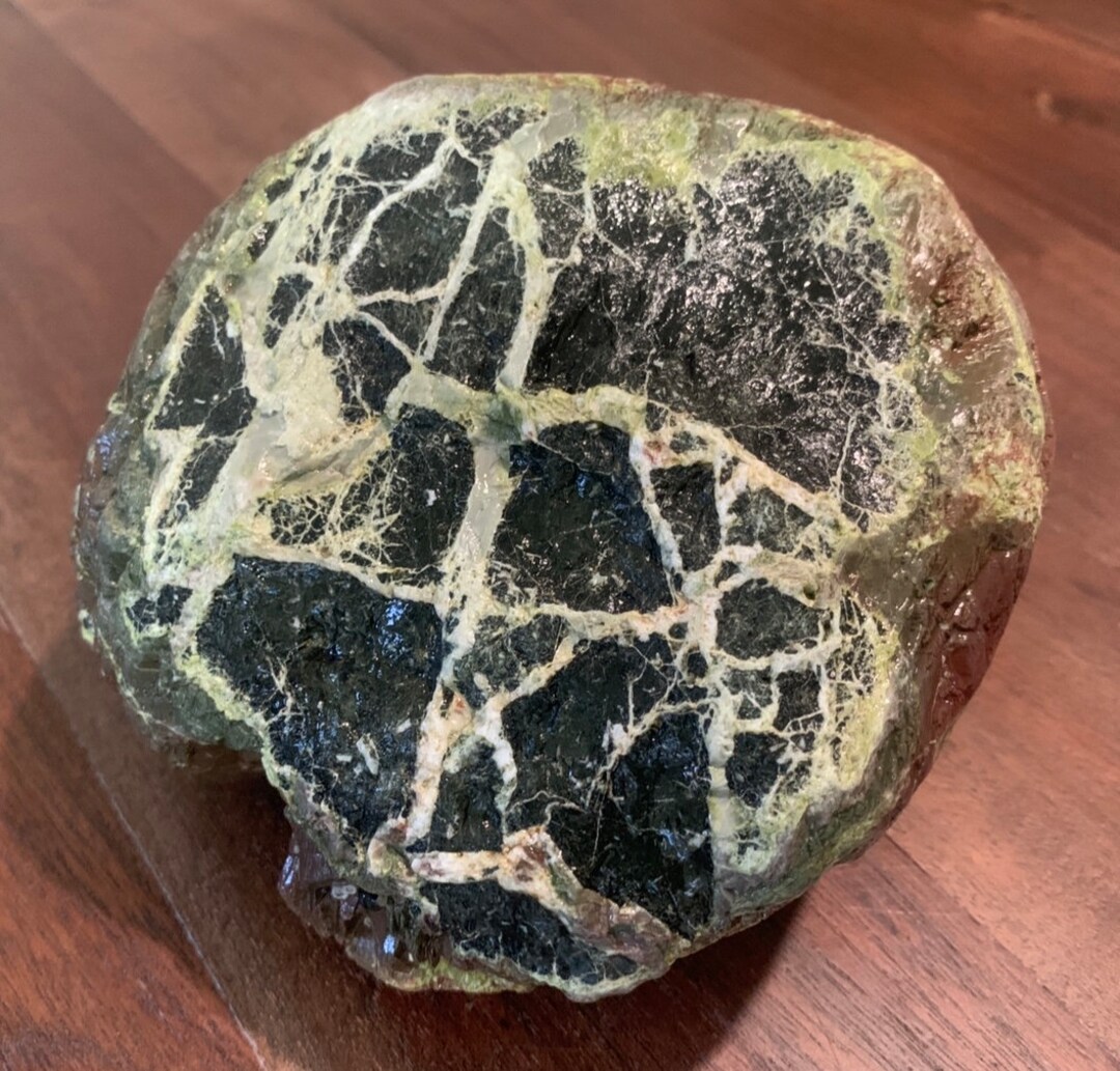 Very Rare Alaskan Rock With Barnacles - Etsy