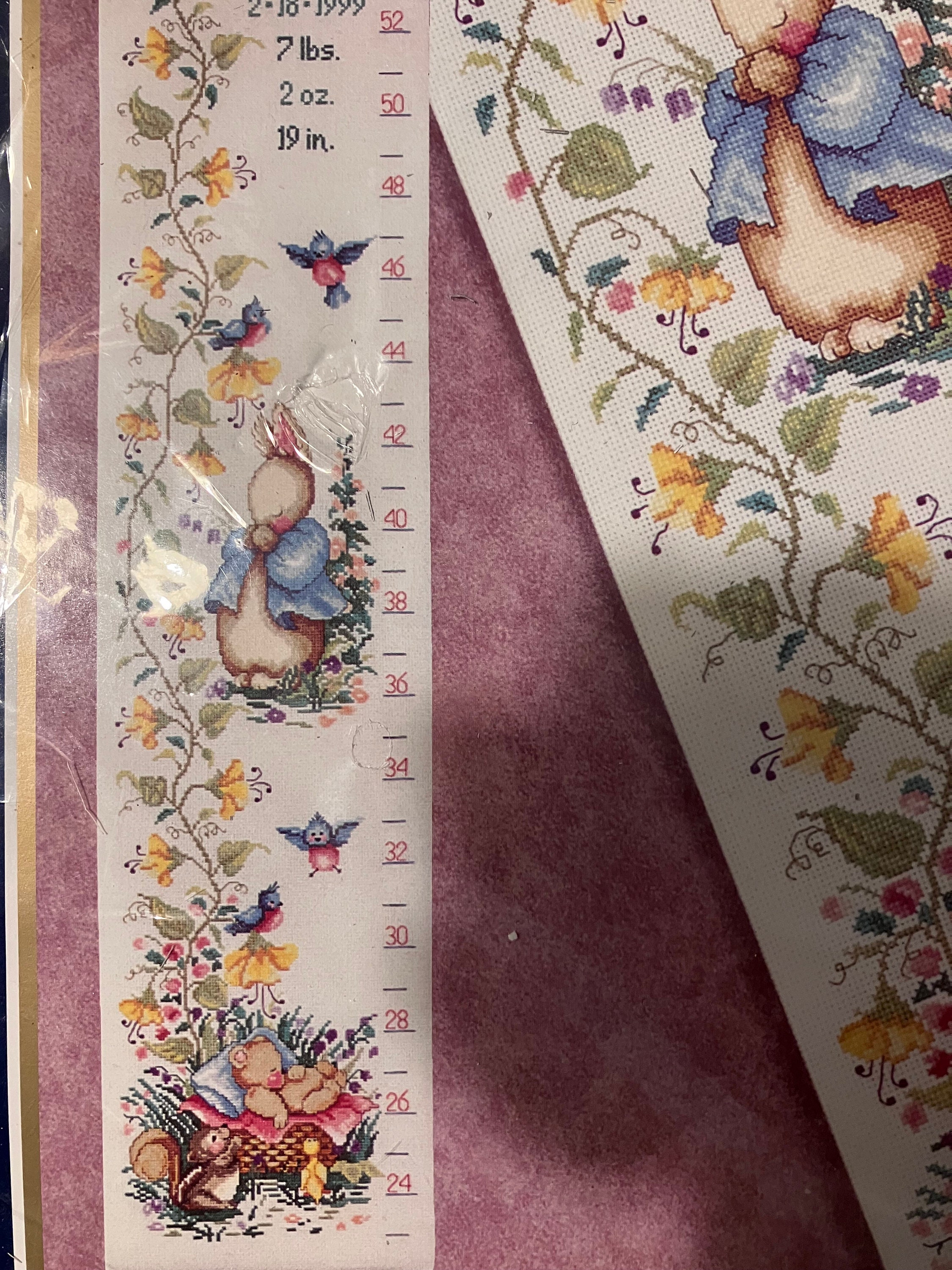 Peter Rabbit New Little One Growth Chart Cross Stitch Kit #42104 by ...