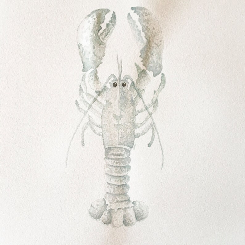 Gray Watercolour Crayfish Painting Grey Lobster Art for beach | Etsy