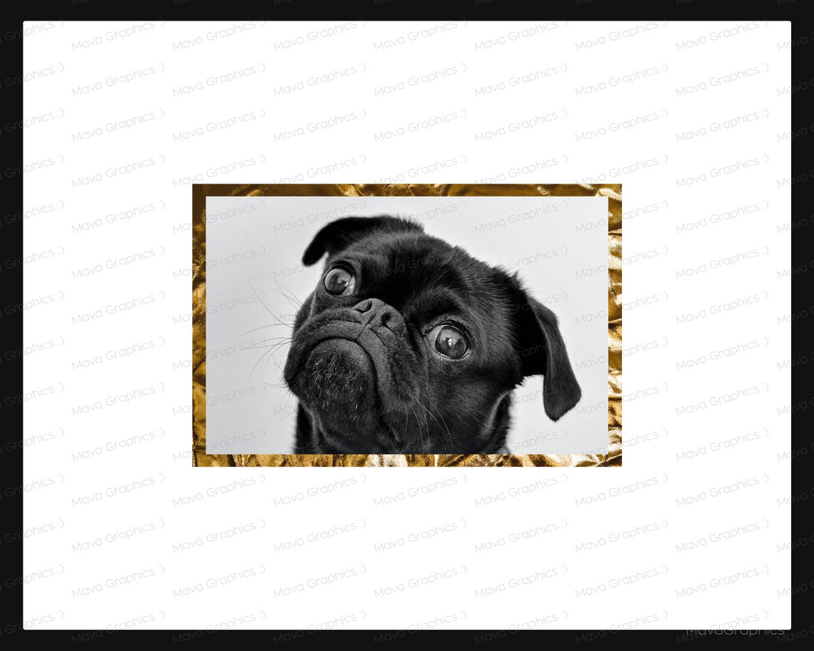 Gold Webcam Frame for Streaming, Elegant Webcam Border, Twitch ...