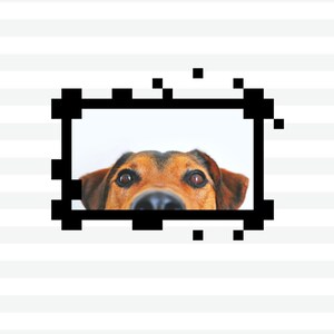 Black Pixel Webcam Frame Overlay, Webcam Border, Premade Twitch ...