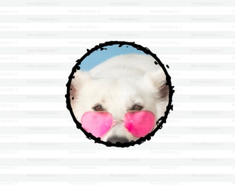 Rainbow Webcam Frame Streaming Overlay, Webcam Border, Custom Twitch ...