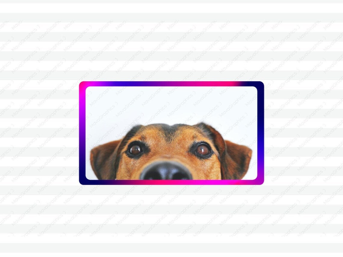 Webcam Frame Overlay, Webcam Border, Custom Twitch Streamlabs OBS ...