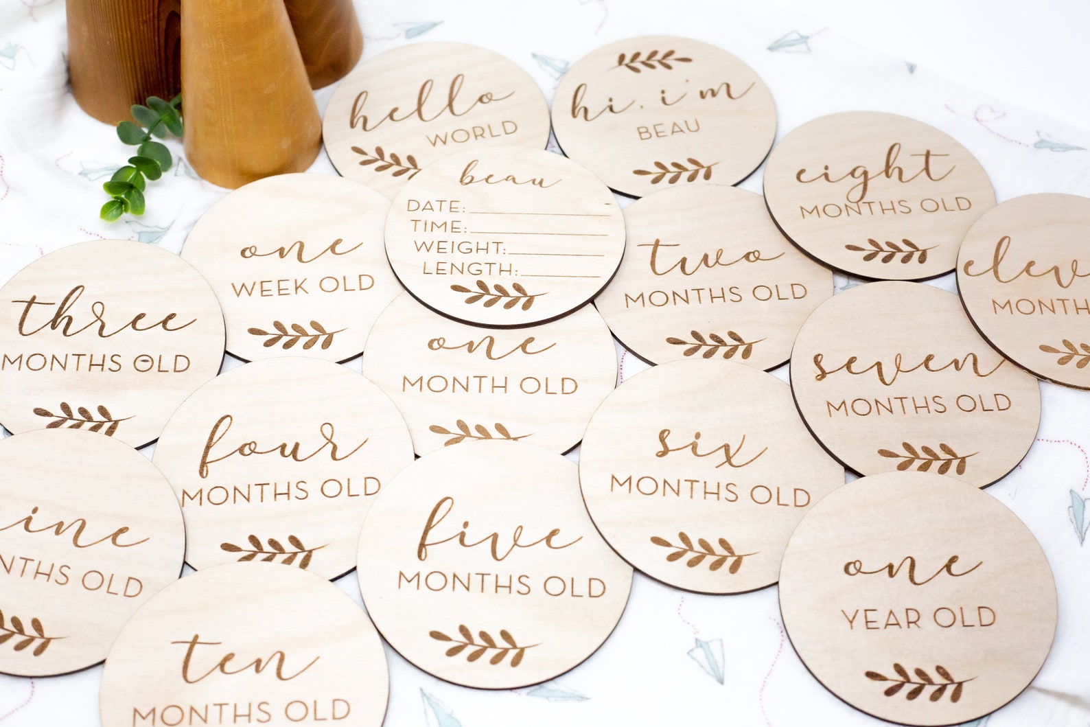 Monthly Baby Milestone Baby Announcement Baby Monthly | Etsy