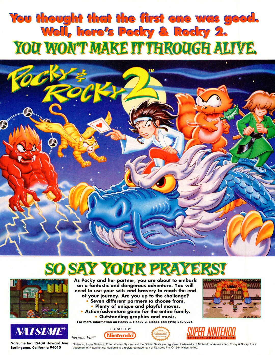 Pocky and Rocky 2 Retro Poster - Etsy