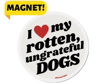 I May Be Stupid... Funny Meme Gen Z Humor Bumper Sticker Car Vehicle ...