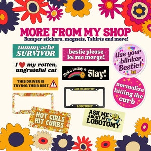 Baby on Board me as A Baby Tik Tok Meme Green Hat Puppet Funny Car ...