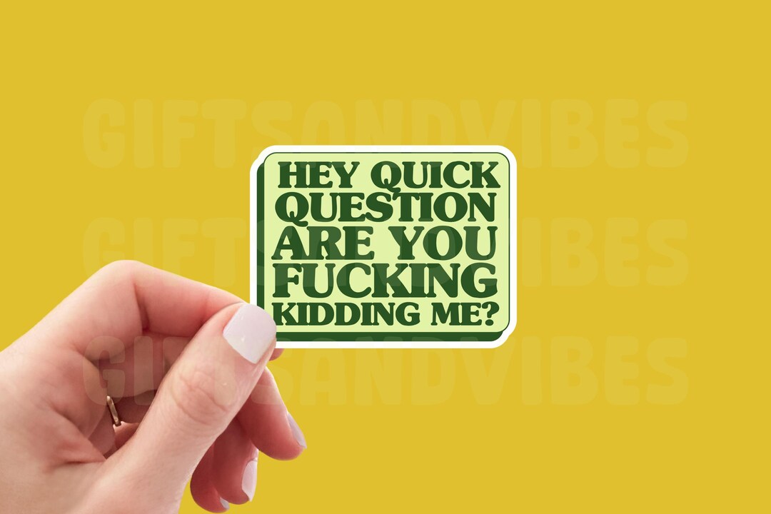 Hey Quick Question Are You Fkin Kidding Me? - Funny Waterproof Sticker - Etsy