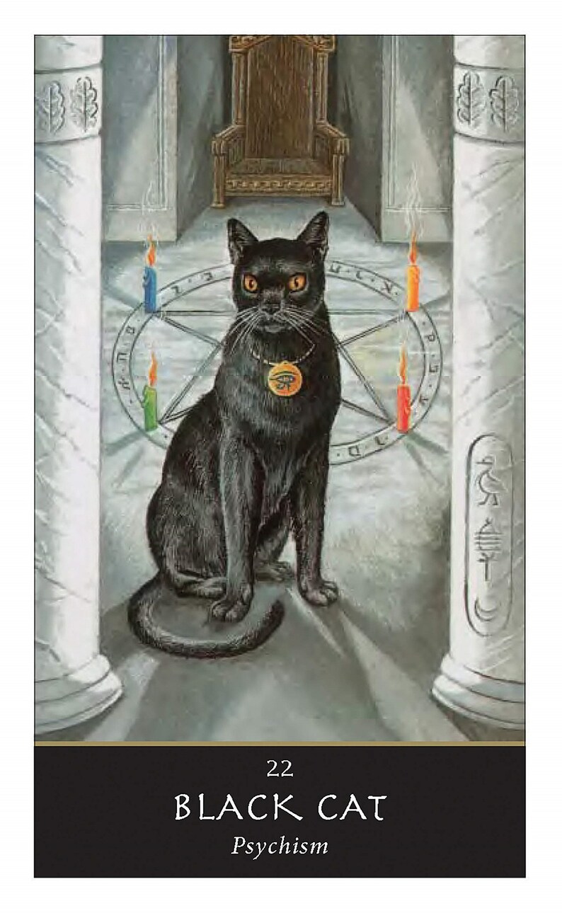 The Witches' Oracle: book & Cards with Books | Etsy