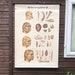 Vintage School Chart EVOLUTION OF MAN Poster Educational Chart - Etsy