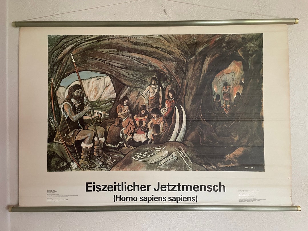Vintage ICE AGE MAN School Chart Roll Down Educational Chart Evolution ...