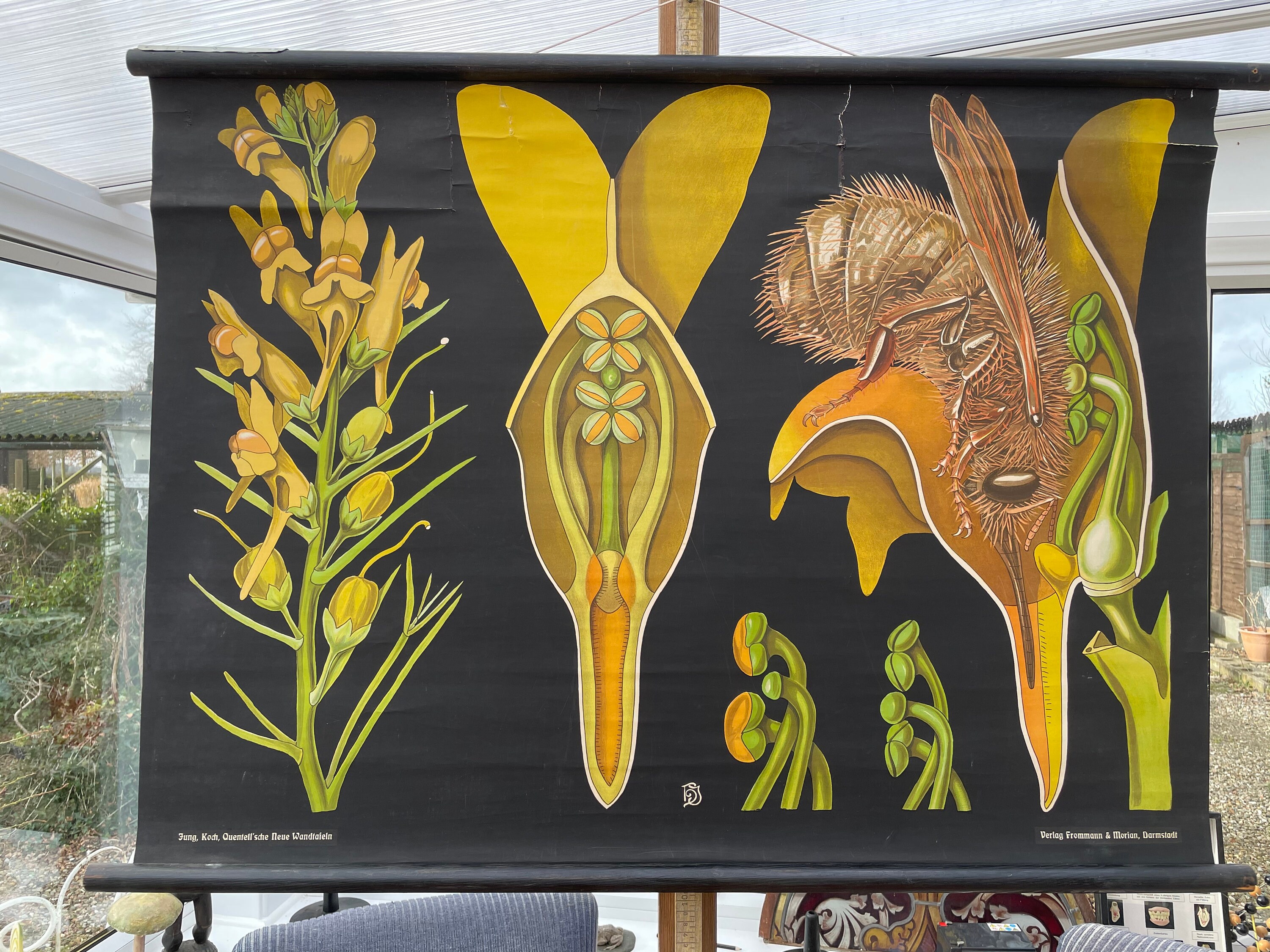 Rare Early YELLOW FLAX School Chart Jung Koch Quentell Vintage | Etsy