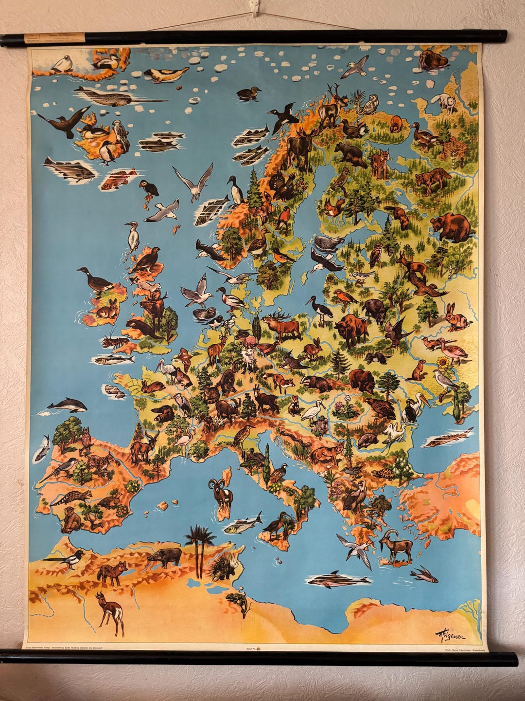 Vintage MAP EUROPE School Chart Wildlife Pictorial Educational Chart ...