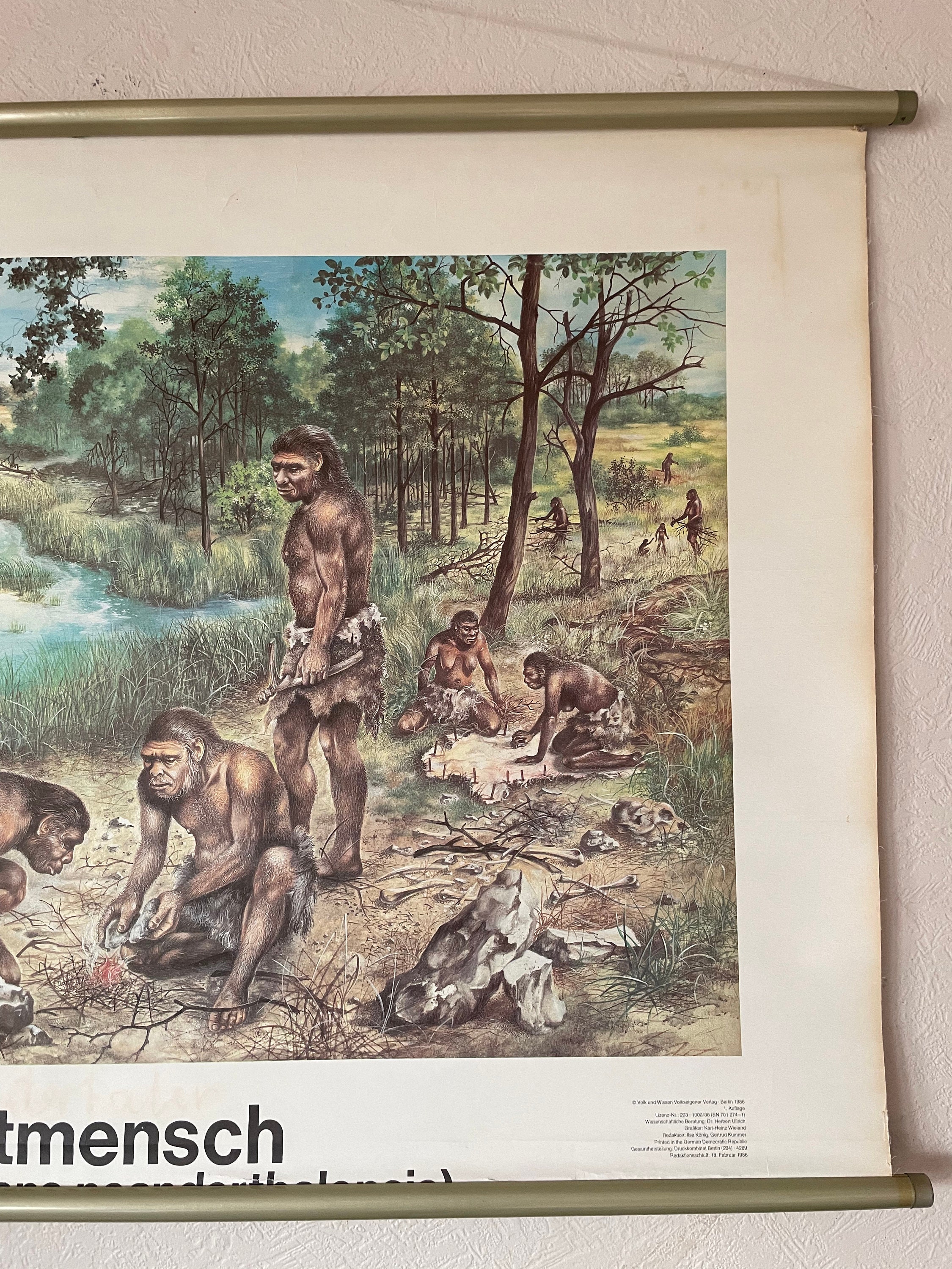 Vintage ICE AGE MAN School Chart Roll Down Educational Chart Evolution ...