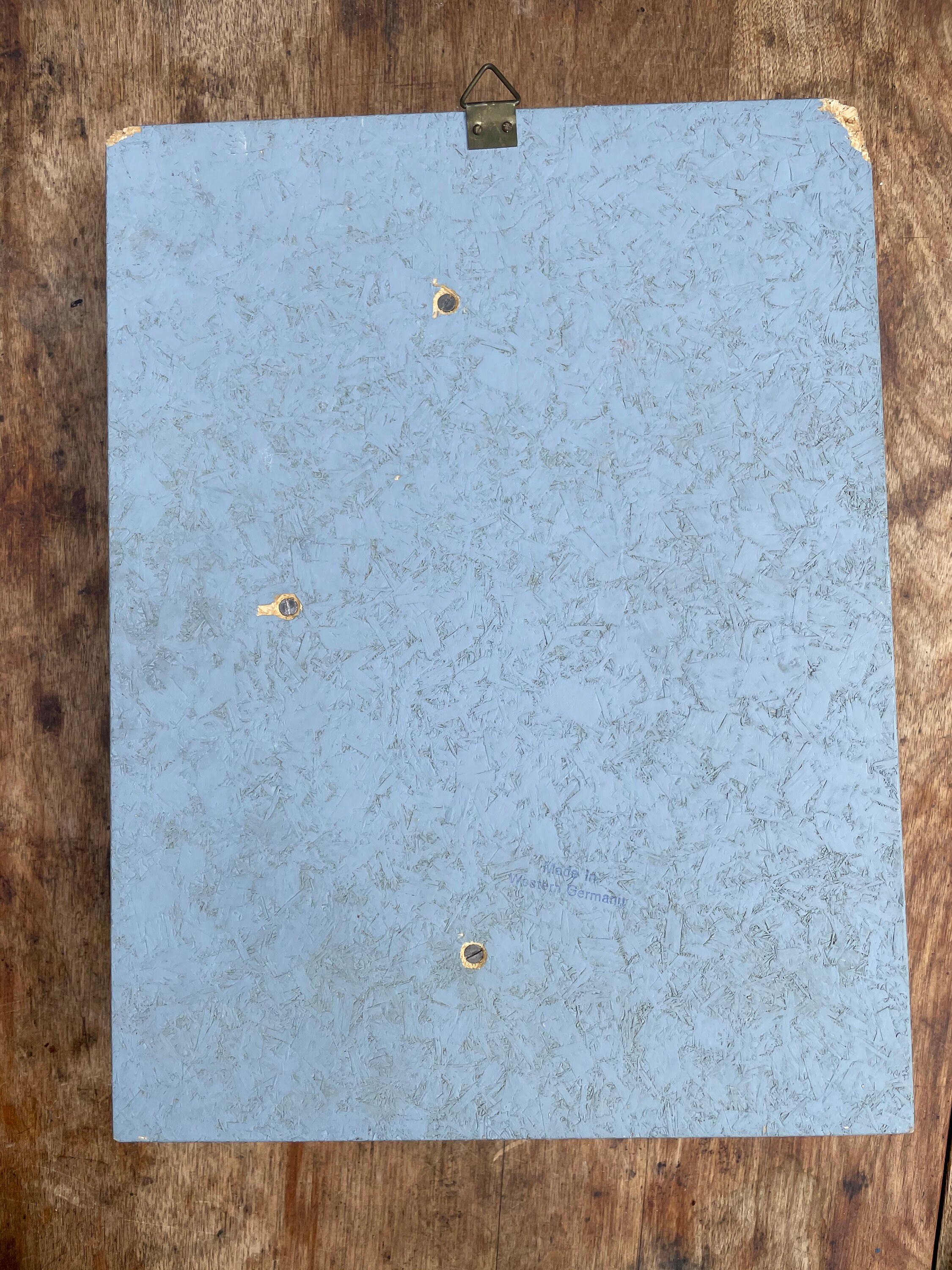 Vintage SOMSO HUMAN KIDNEY Model Educational Model Anatomy - Etsy