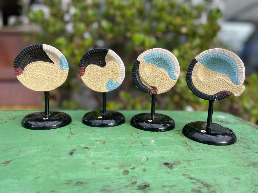 Vintage Set of Four EMBRYO MODELS -T. Gerrard & Co Ltd AMPHIBIAN Egg ...
