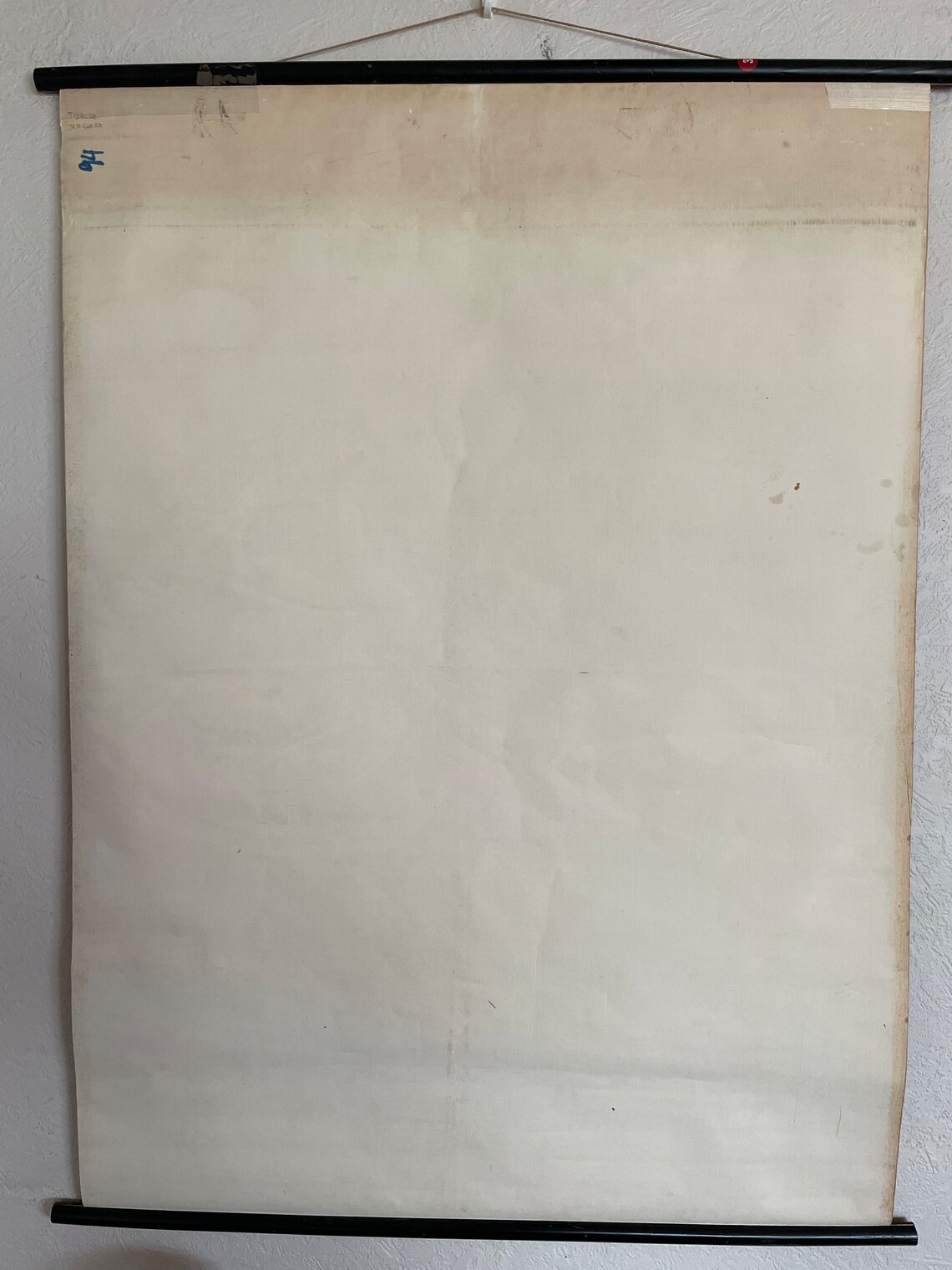 Vintage GRASS SNAKE & VIPER School Chart Jung Koch Quentell - Etsy